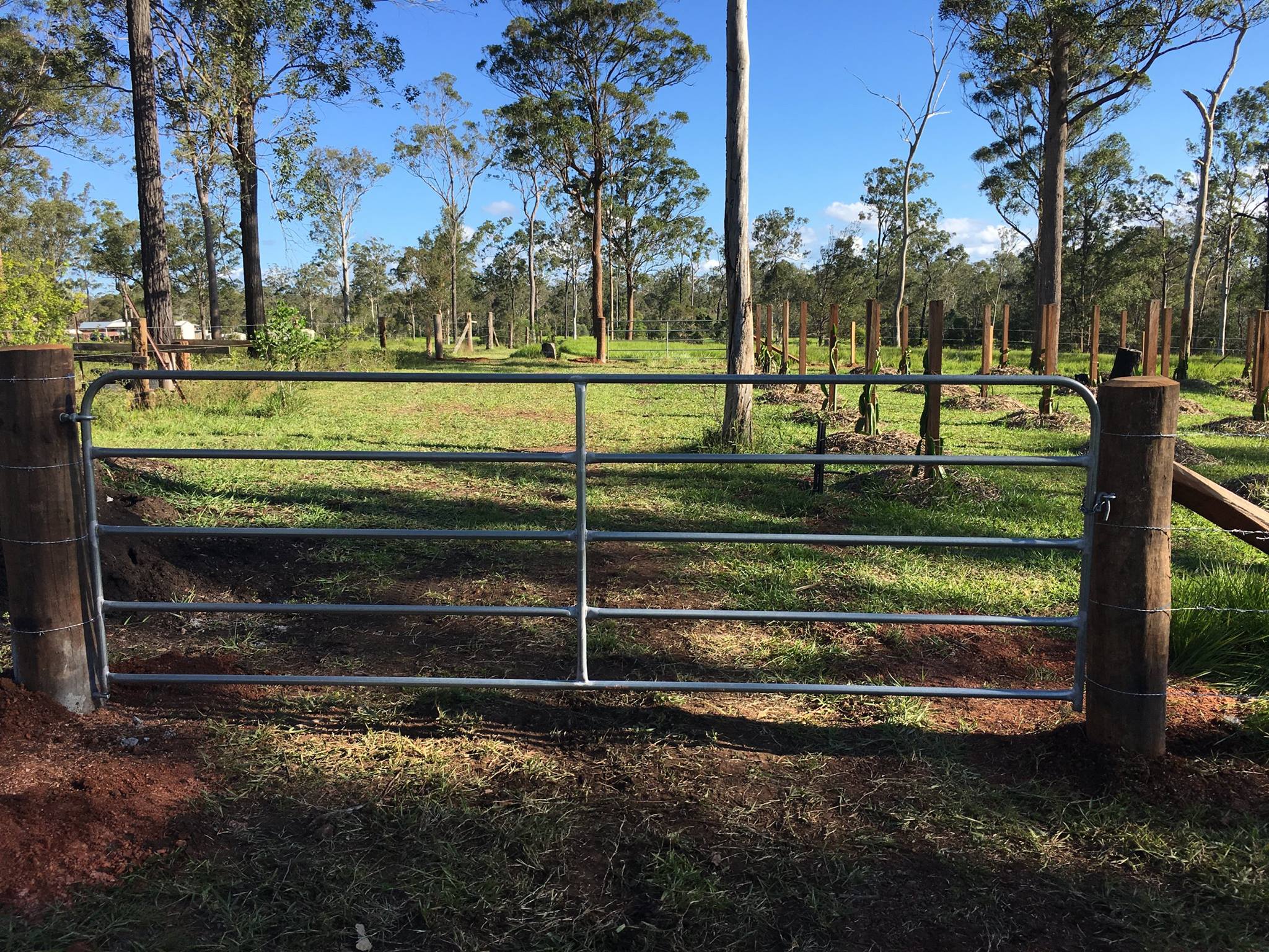 4 Barb wire cattle fence by Fraser Coast Mini Excavations, Spraying ...