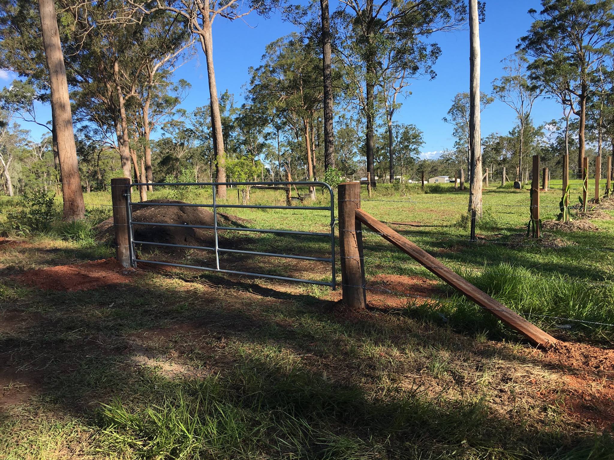 4 Barb wire cattle fence by Fraser Coast Mini Excavations, Spraying ...